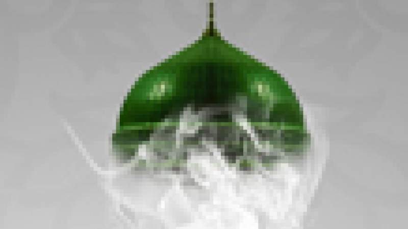 شبكة المعارف الإسلامية:في رحاب الحديث النبوي والسيرة الشريفة